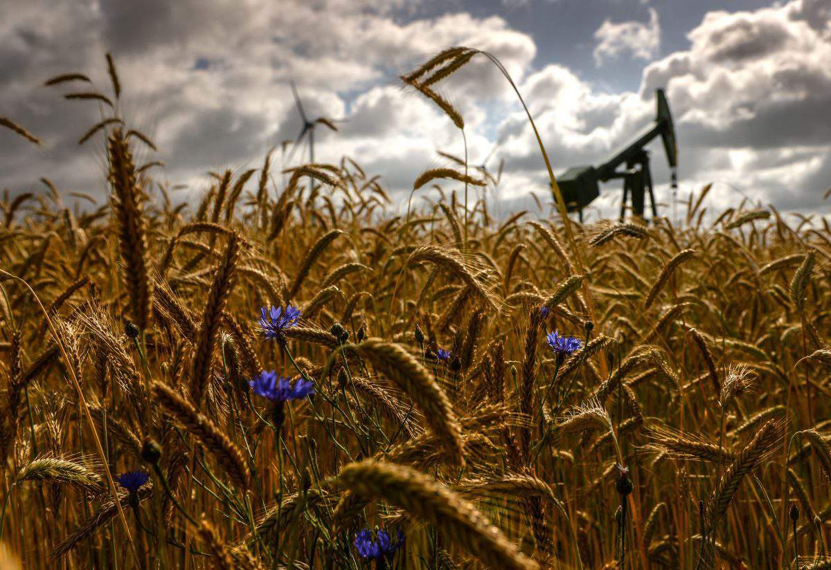 Wintershall DEA: New Star Could Rise on European Oil and Gas Market ...